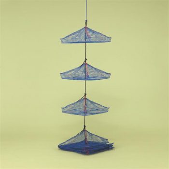 Pearl Net - Weihai Huaxing Nets Co Ltd