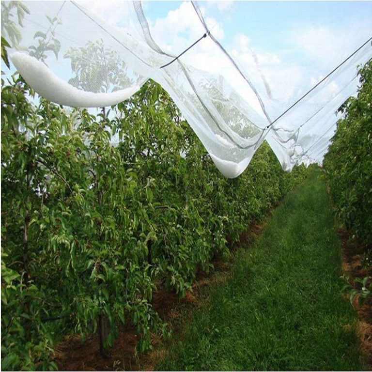 Anti-Hail Net - Weihai Huaxing Nets Co Ltd