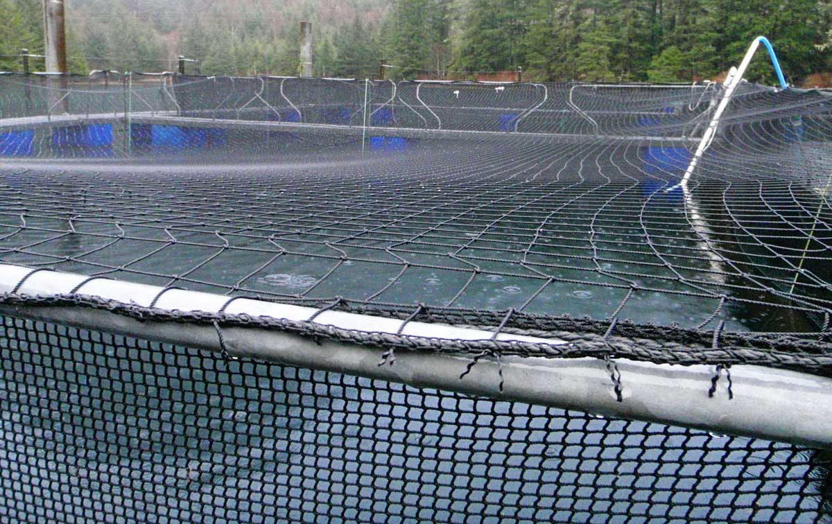 Fish net pens - Weihai Huaxing Nets Co Ltd