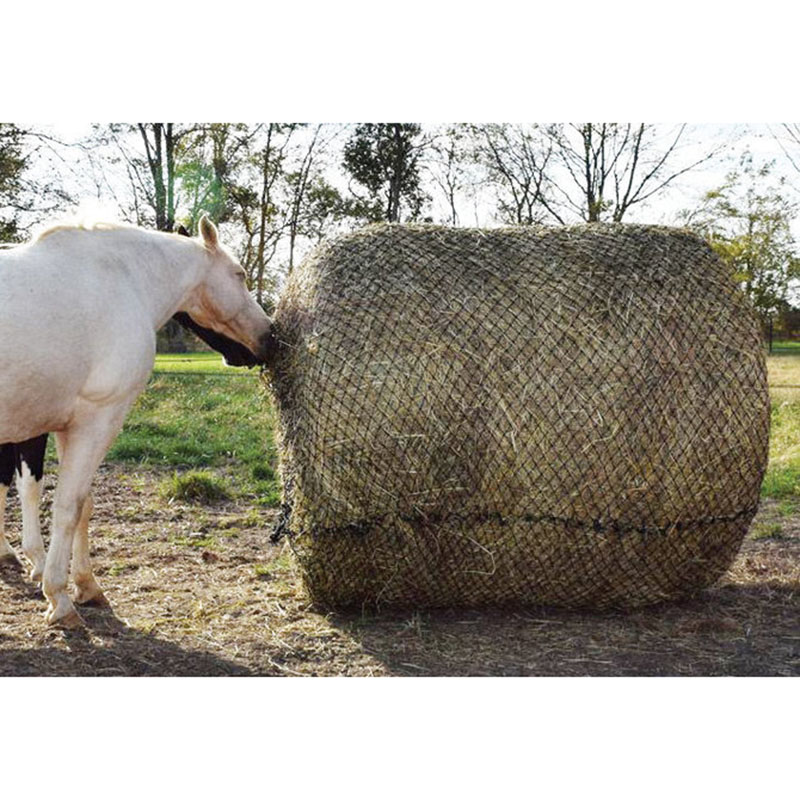 Good quality slow mini horse hay net -Weihai Huaxing Nets