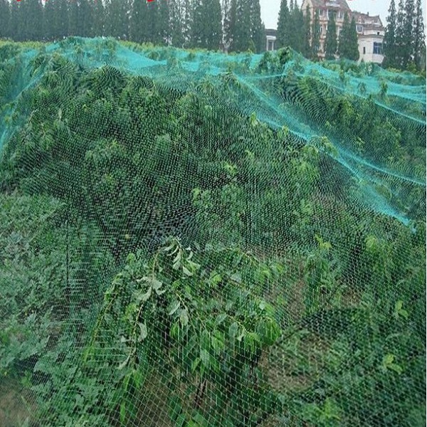 Gardening Pest Anti Bird Crop Net - Huaxing Nets