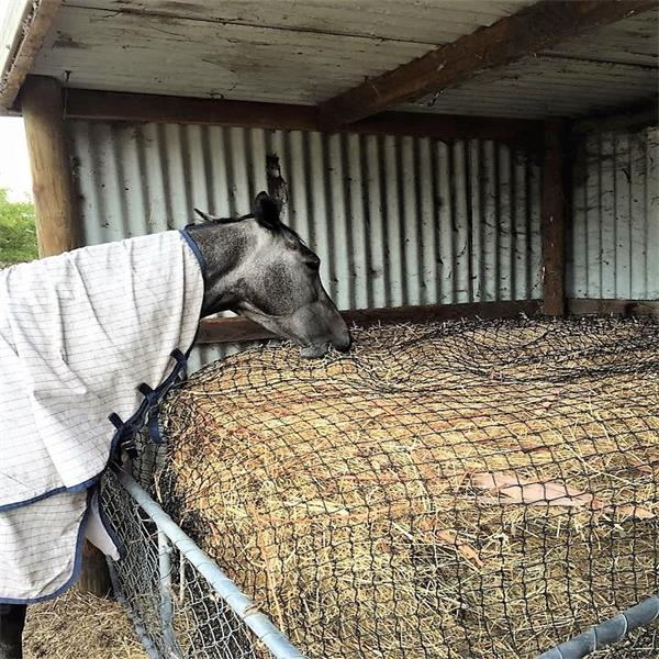 Best Selling Round Bale Slow Hay Net- Huaxing Nets