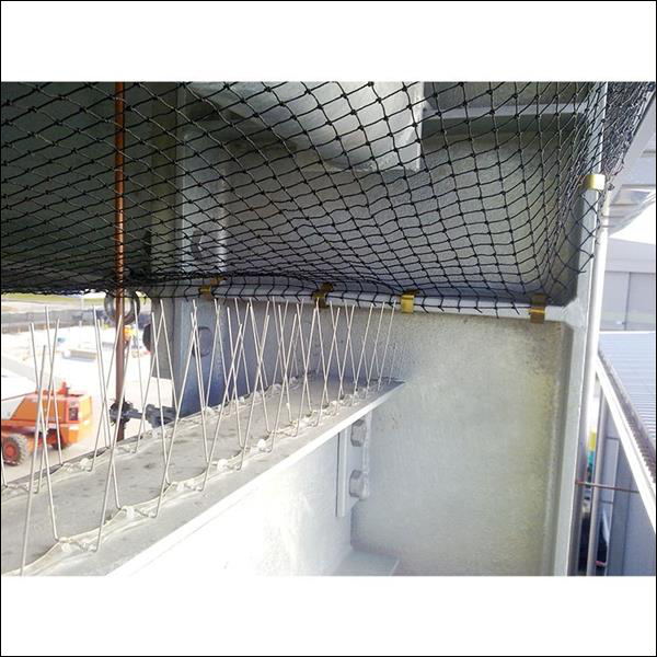 HDPE knotted pigeon bird net - Huaxing Nets
