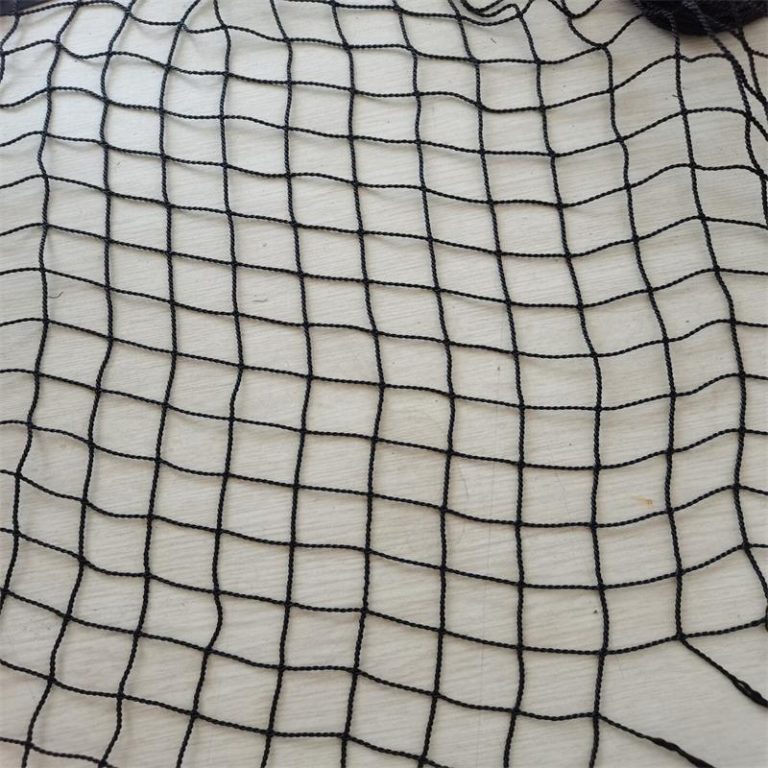 Nylon Twisted Knotless Netting - Weihai Huaxing Nets Co Ltd